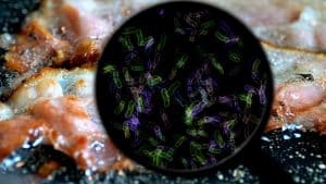 What Is the Number One Cause of Spoiled Meat? - Simply Healthy Family