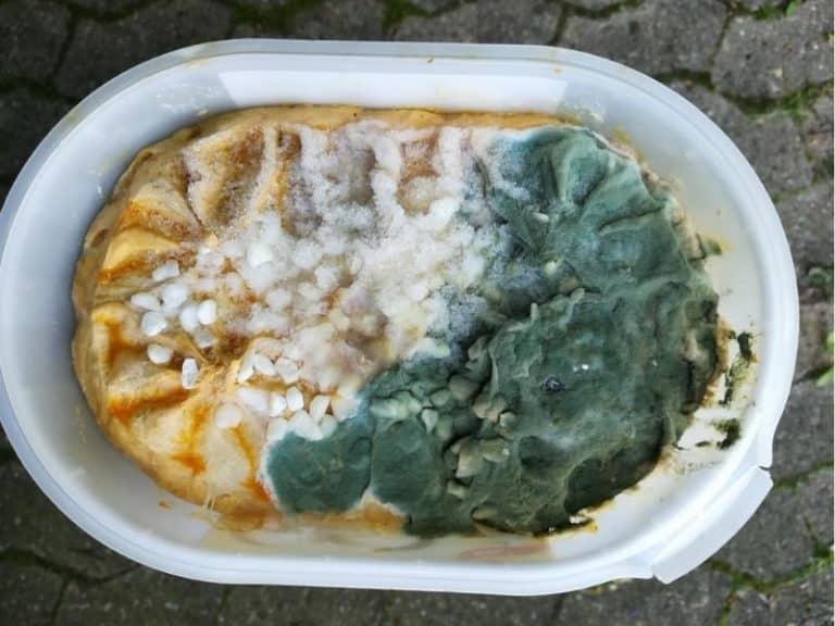 Does Delicious Ice Cream Go Bad? - Simply Healthy Family