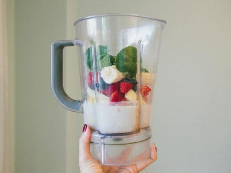 Food Mill Substitutes: The Best Alternatives 2023 - Simply Healthy Family