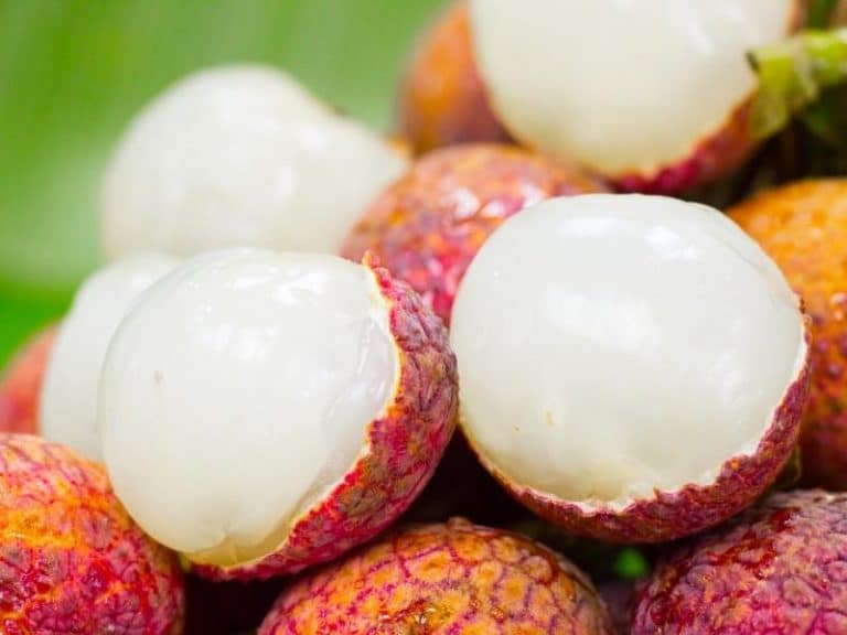 What is Lychee? Flavor Guide & Appearance - Simply Healthy Family