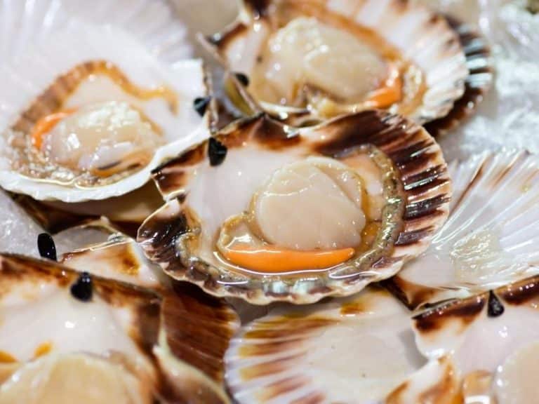 What Are Scallops? - Simply Healthy Family