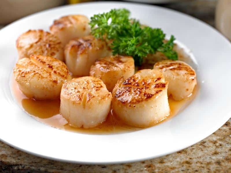 What Are Scallops? - Simply Healthy Family
