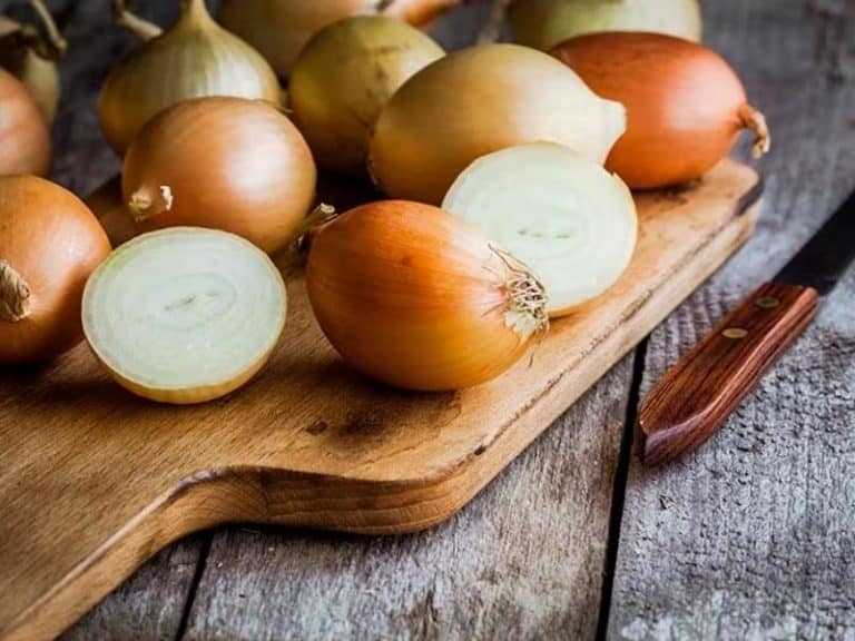What is a Spanish Onion? 2023 Substitutes & Cooking - Simply Healthy Family
